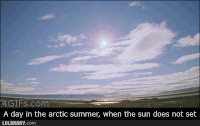 Arctic GIFs - Get the best gif on GIFER