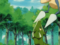 Beedrill GIFs - Get the best gif on GIFER