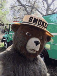 Wildfires GIFs - Get the best gif on GIFER