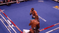 Knockouts GIFs - Get the best gif on GIFER