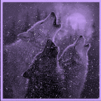Wolf GIFs - Get the best gif on GIFER