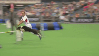 Agility GIFs - Get the best gif on GIFER