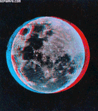 Authentic GIFs - Get the best gif on GIFER