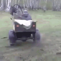 Buggy GIFs - Get the best gif on GIFER