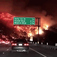 California GIFs - Get the best gif on GIFER