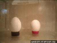 Microwaving GIFs - Get the best gif on GIFER