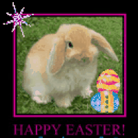 Rotfl GIFs - Get the best gif on GIFER