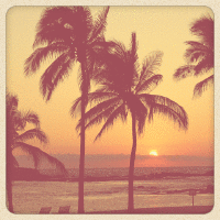 Preppy GIFs - Get the best gif on GIFER