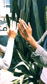 Clapback GIFs - Get the best gif on GIFER