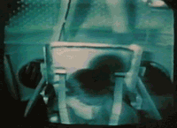 Test time GIFs - Get the best gif on GIFER