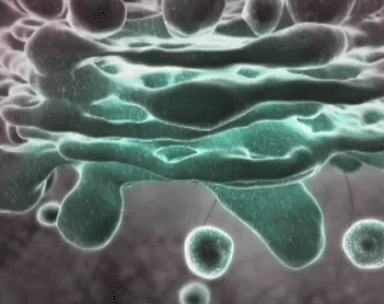 Apparatus GIFs - Get the best gif on GIFER