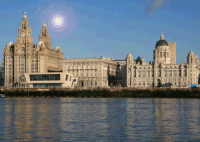 Common GIFs - Get the best gif on GIFER