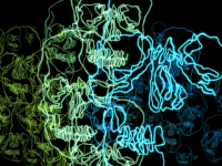 Continuous line GIFs - Get the best gif on GIFER