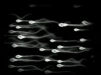 Digestion GIFs - Get the best gif on GIFER