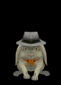 Rabbit GIFs - Get the best gif on GIFER