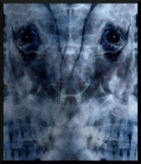 Possession GIFs - Get the best gif on GIFER