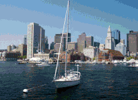 Boston GIFs - Get the best gif on GIFER