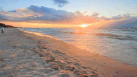 Playa GIFs - Get the best gif on GIFER