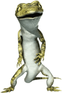 Gif De Lagarto Babado Lagarto GIFs | Tenor