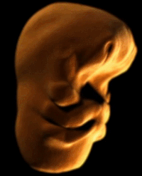 Palate GIFs - Get the best gif on GIFER