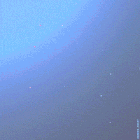 Adaptation GIFs - Get the best gif on GIFER