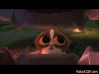 Madagascar GIFs - Get the best gif on GIFER