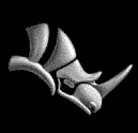 Rhinoceros GIFs - Get the best gif on GIFER