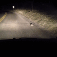 Headlight GIFs - Get the best gif on GIFER