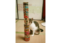 Stacked GIFs - Get the best gif on GIFER