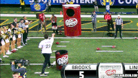 Sec GIFs - Get the best gif on GIFER
