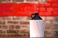 Jug GIF - Conseguir o melhor gif em GIFER