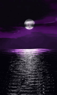 Sea GIFs - Get the best gif on GIFER