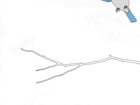 Bluebird GIFs - Get the best gif on GIFER