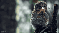 Reminders GIFs - Get the best gif on GIFER