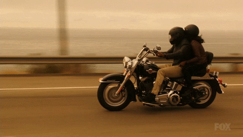 Harley davidson GIFs - Get the best gif on GIFER
