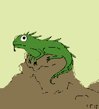 Iguana GIFs - Get the best gif on GIFER
