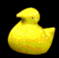 Peeps GIFs - Get the best gif on GIFER