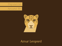 Endangered GIFs - Get the best gif on GIFER
