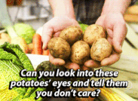 Legumes GIFs - Get the best gif on GIFER