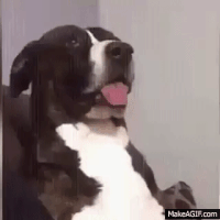 Alcohols GIFs - Get the best gif on GIFER