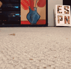 Spill the beans GIFs - Get the best gif on GIFER