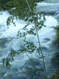 River GIFs - Get the best gif on GIFER