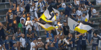 Ferns GIFs - Get the best gif on GIFER