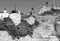 Failarmy GIFs - Get the best gif on GIFER