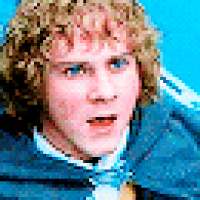 Platter GIFs - Get the best gif on GIFER