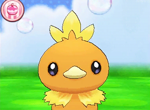 Torchic GIFs - Get the best gif on GIFER