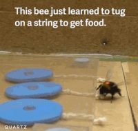 Smart GIFs - Get the best gif on GIFER