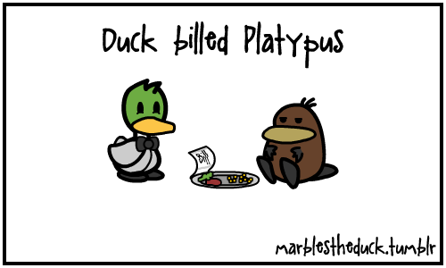 Souk GIF - Conseguir o melhor gif em GIFER