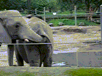 Saliva GIFs - Get the best gif on GIFER