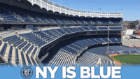 Stadium GIFs - Get the best gif on GIFER